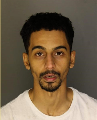 Several Arab Americans arrested in Dearborn for various alleged crimes ...